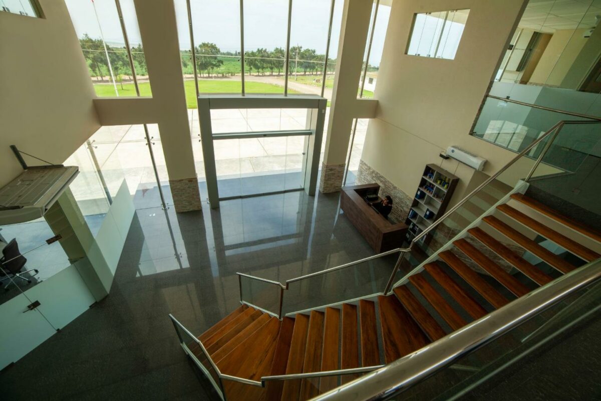 Green Perú – Cultivamos un mundo mejor