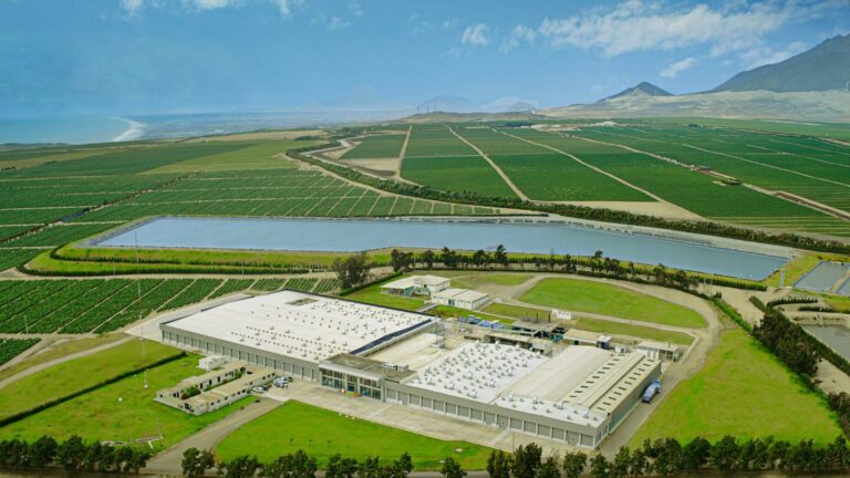 Home EN – Green Perú